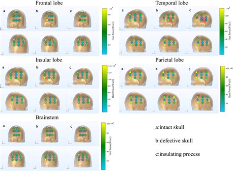 Array Distribution And Heating Power Of The Gel For Each Model The Download Scientific Diagram