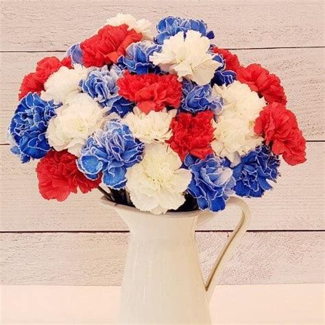Patriotic Red White And Blue Carnations Carnations