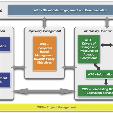 Relevant Examples Of Ess Definitions That Were Considered To Reach The