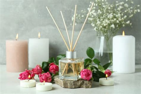 Bien Chez Soi Lart De Créer Une Ambiance Olfactive Naturelle Pour