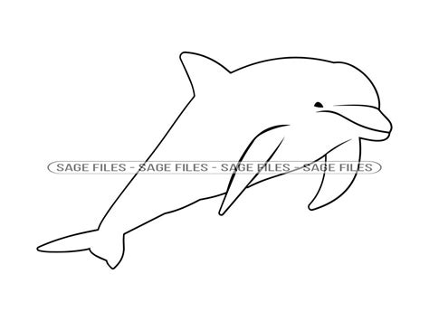 Dolphin Outline Picture