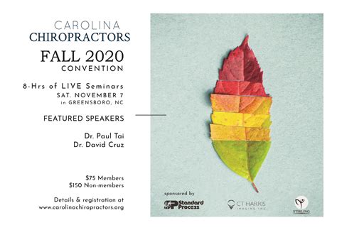 Sfma Vs Fms The Differences Between The Selective Functional