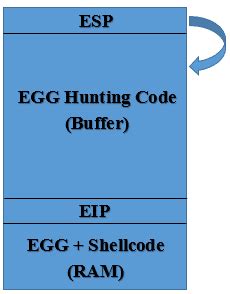 EGG HUNTING WebOrion Cyber Security And Vulnerability Assessment Services