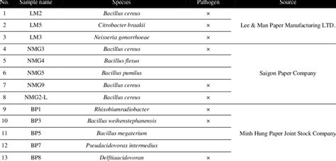 Identification Results By The Maldi Tof Method Download Scientific