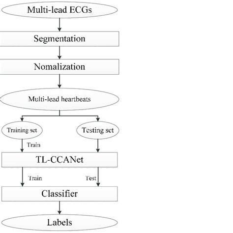 The Specific Process Of The Ecg Classification Based System Download