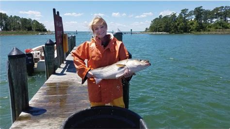 Ez Pass For Fish Imet