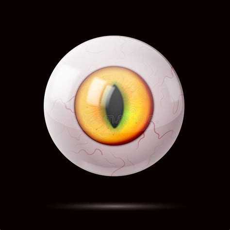 Realistic Round Eye With Squirrel And Elongated Pupil Stock Vector