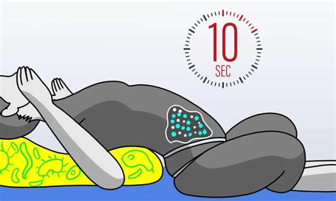 Prostate Health Method Officialprostatehealth Shop