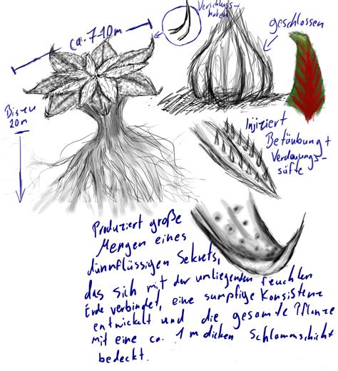 Nibia Plant By Peppermint Petty On Deviantart