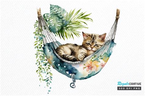 Watercolor Cute Cat In A Hammock Clipart Graphic By Regulrcrative