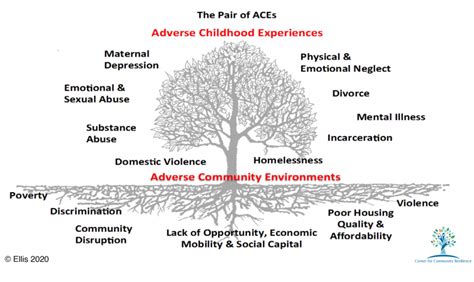 Pair Of Aces Tree Pact Coalition