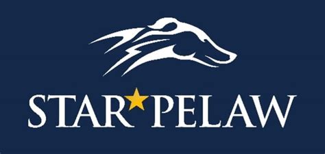 Playgirl Holloway Bound As She Tops Successful Star Pelaw Sale