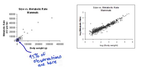 Biol 241 Topic 7 Flashcards Quizlet