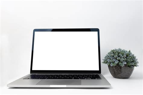 Laptop Computer Blank Screen And Flower On White Background 13148775