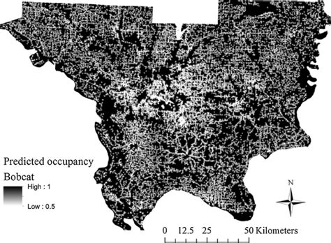 Predicted Probability Of Bobcat Occupancy Range B C ¼ 05 1 In The 16