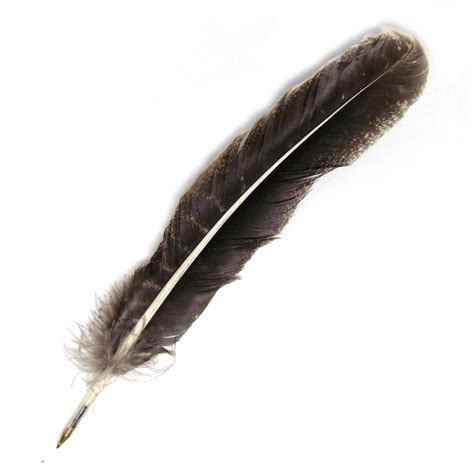 Feather Ballpoint Pen Turkey Feather Natural The Shop That Must Not