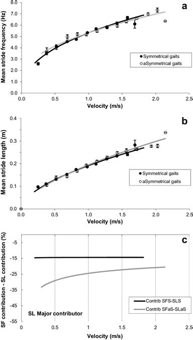 Stride Frequency And Stride Length A Relationship Between Mean Stride