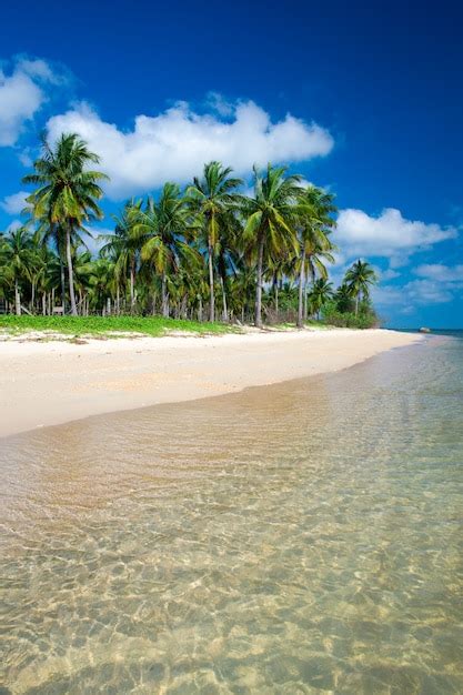 Imágenes De Playa Coolum Descarga Gratuita En Freepik