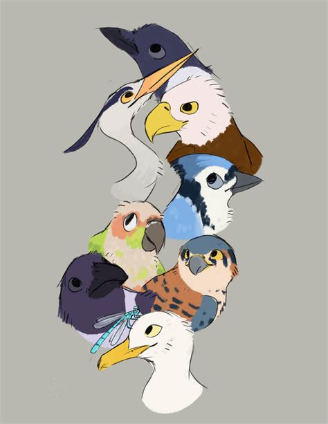 Assorted Birds By Corviraptor0 On Deviantart