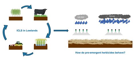 Barnyardgrass Control With Pre Emergent Herbicides In No Till Irrigated
