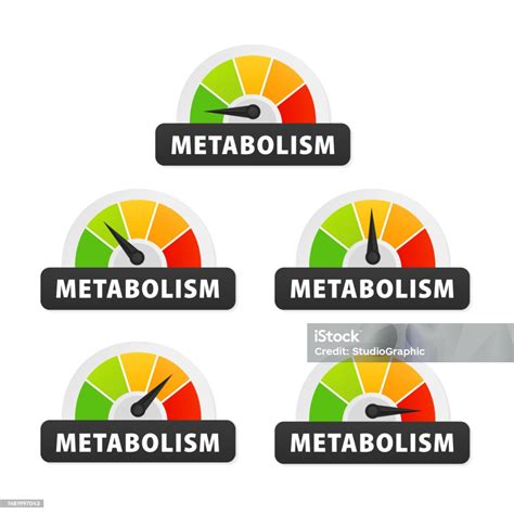 Metabolism Icon On Speedometer High Metabolism Meter Metabolism Level