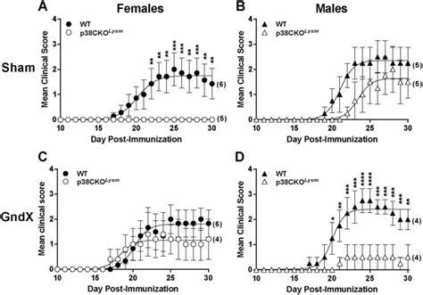 Sex Hormones Contribute To The Sexual Dimorphism In Experimental
