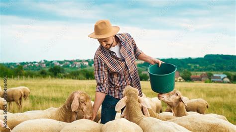 Men On Sheep Farm