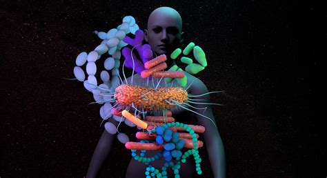 Microbioma Intestinal Humano