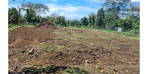 Prime Half Acre For Lease In Aleisa Samoa Realty