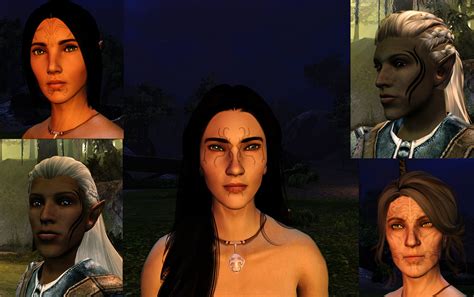 Not Me Gearing Up For Another Play Through At Dragon Age Origins