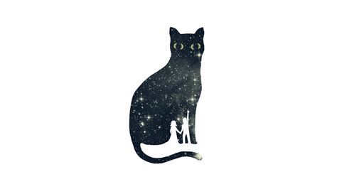 Cat Minimalist Wallpapers Top Free Cat Minimalist Backgrounds