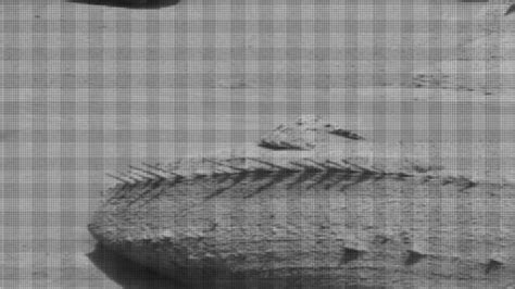 Curious Rover Captures Dragon Like Skeleton Photo On Mars