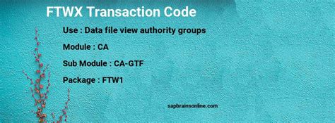 Ftwx Sap Tcode For Data File View Authority Groups