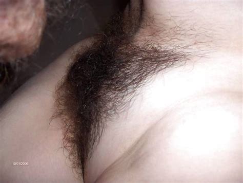 Amateur Hairy Bush Porn Pics Pictoa
