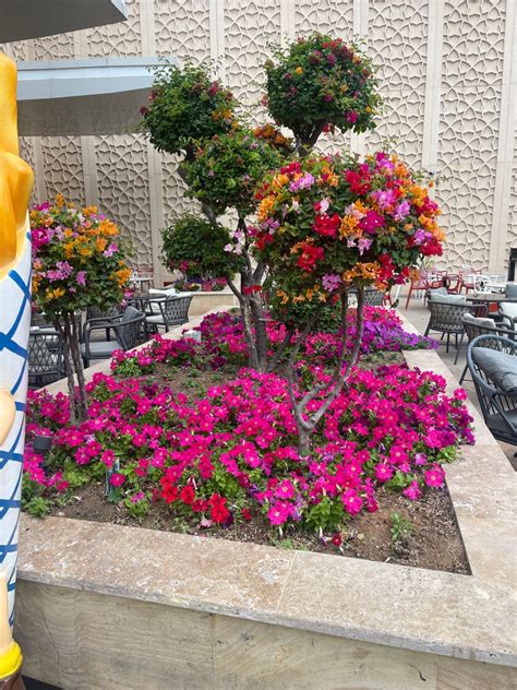 Reza Mostofi Posted On Linkedin