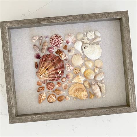 7 Seashell Art Ideas Seashell Art Seashell Crafts Shell Crafts