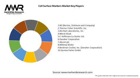 Cell Surface Markers Market Size Share Trends Analysis And Forecast 2025 2034 2025 2034