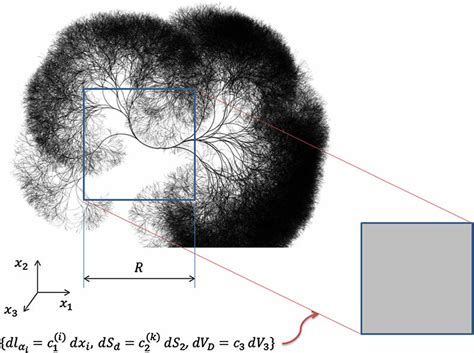 Roles Of The Transformation Coefficients C I 1 C K 2 And C 3 In