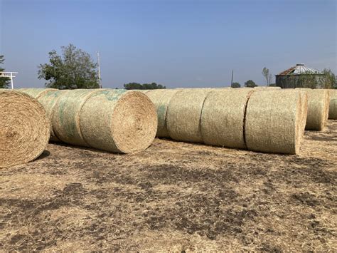 Hay For Sale In Texas