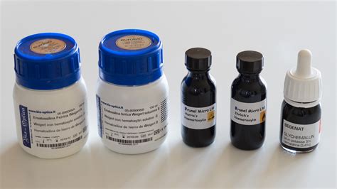 Hematoxyline Kleuring