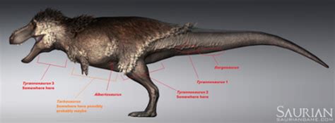 A Dinosaur A Day · T Rex Feathers Scales And Science