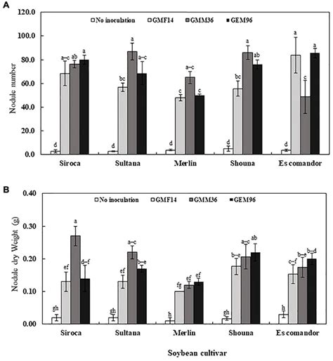 Soybean Nodule Number A And Nodule Dry Weight B Following Download Scientific Diagram