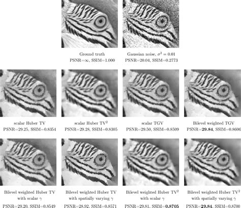 Figure From Bilevel Training Schemes In Imaging For Total Variation Type Functionals With