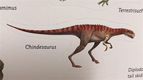 Chindesaurus