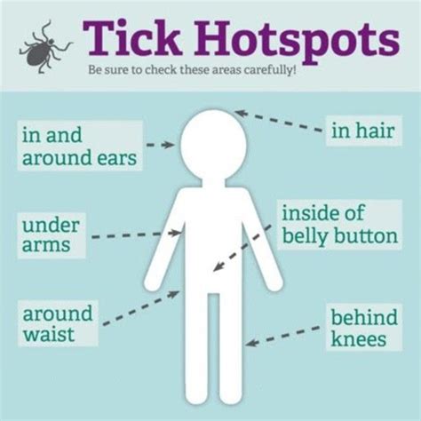 How To Remove Tick Correctly At Colton Emma Blog