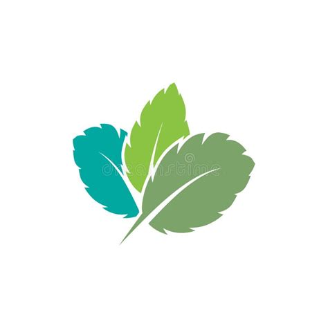 Mint Leaf Logo Vector Template Symbol Design Stock Vector