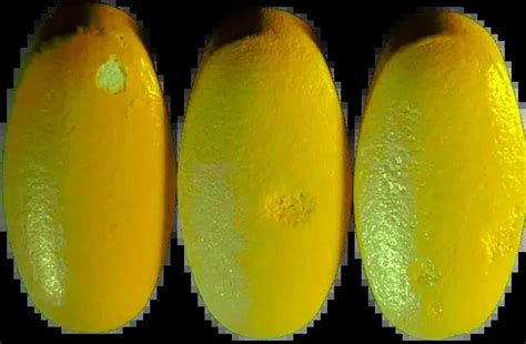 Common Tablet Defects And Remedies In Manufacturing Pharma Boss