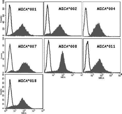 Expression Of Different Mica Alleles In The Hmy2 C1r Cell Line Mica