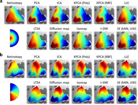 Experiment 1 Retinotopic And Connectopic Maps Of A Eccentricity And Download Scientific