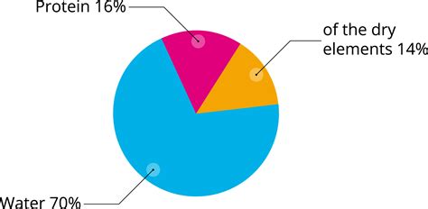 Exemplar Exercise Problems Vii — Task Mathematics Cbse Class 8